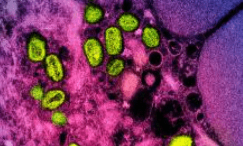 WHO declares mpox no longer a health emergency - World - DAWN.COM