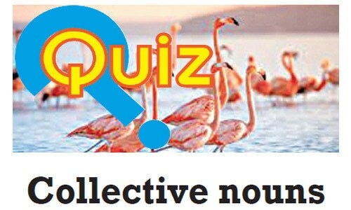 Quiz - Newspaper - DAWN.COM Quiz - Newspaper - DAWN.COM