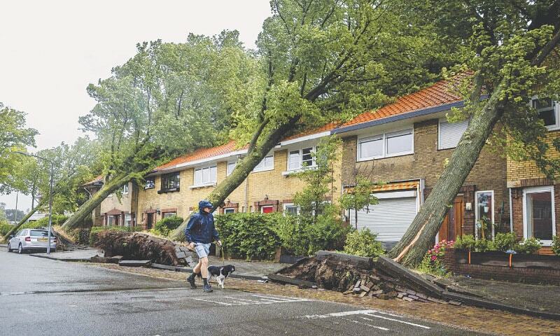 Record-breaking storm batters Netherlands, kills two - World - DAWN.COM