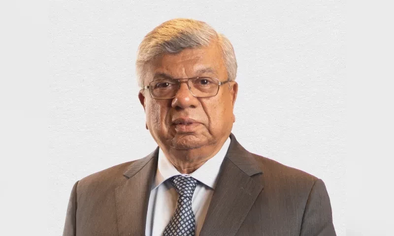 ‘Hybrid model’ keeps politicians on right track, says Arif Habib ...