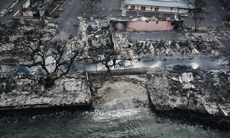 Hawaii fire death toll hits 55, expected to rise - World - DAWN.COM