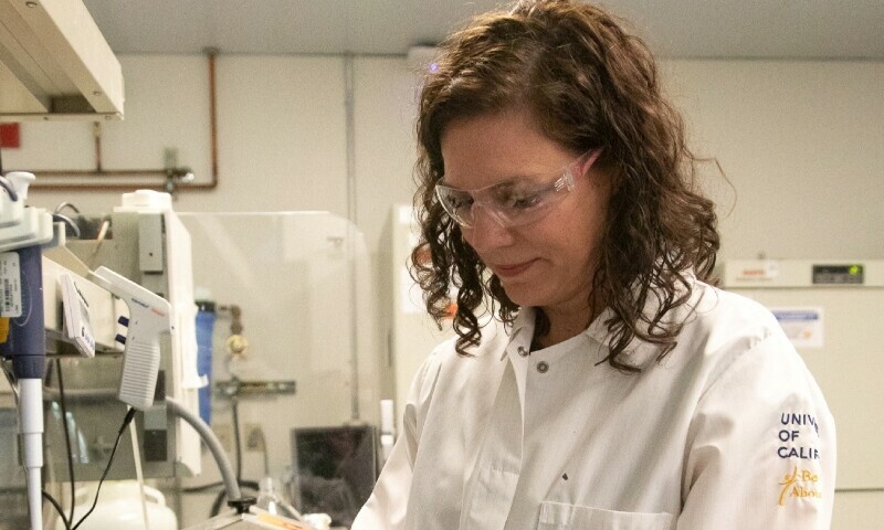 Scientists Solve Genetic Puzzle Of The ‘y Chromosome World Dawn Com