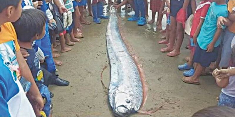 The weekly weird - Newspaper - DAWN.COM