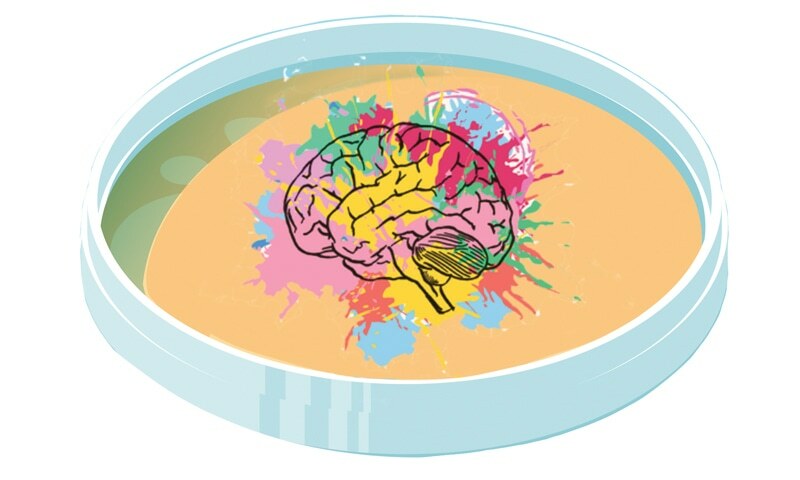 What is Creativity? - Aurora