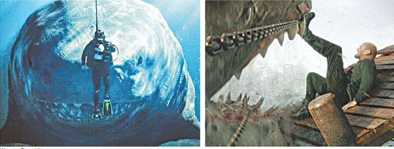 WIDE ANGLE : A SHARK TALE - Newspaper - DAWN.COM