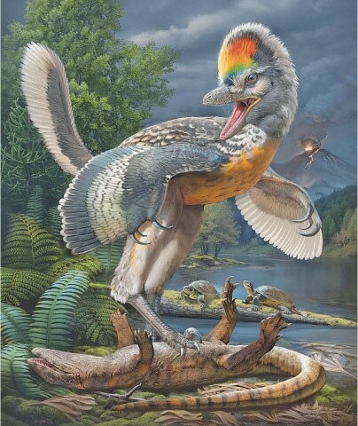 ‘Bizarre’ bird-like dinosaur enthrals scientists - Newspaper - DAWN.COM