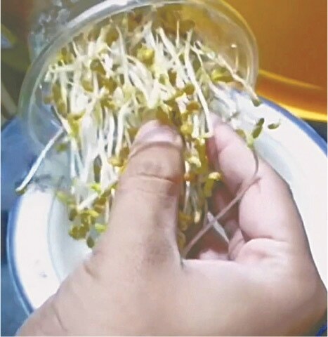 GARDENING: THE MIRACULOUS METHI - Newspaper - DAWN.COM