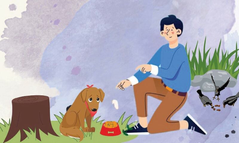 Caring for the creatures in our life - Newspaper - DAWN.COM