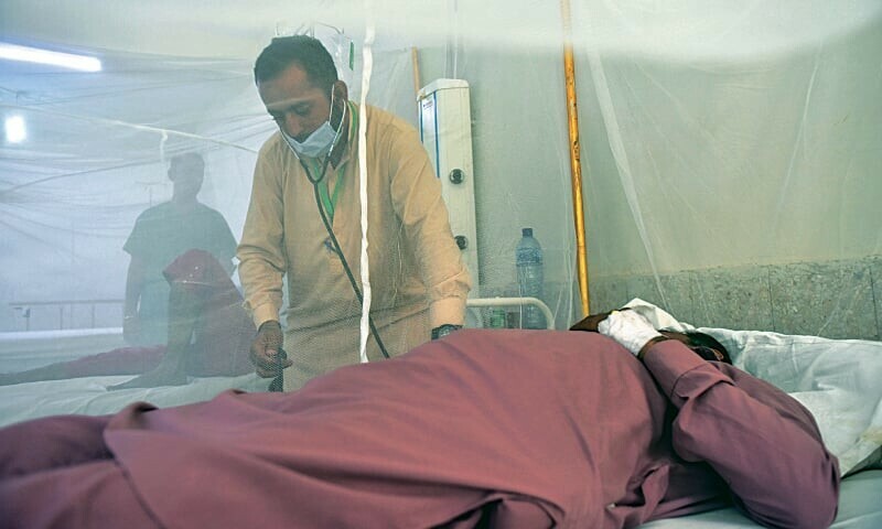 KP health dept to continue anti-dengue drive despite start of winter ...