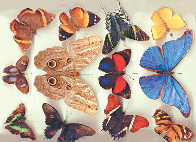 Facts - Newspaper - DAWN.COM