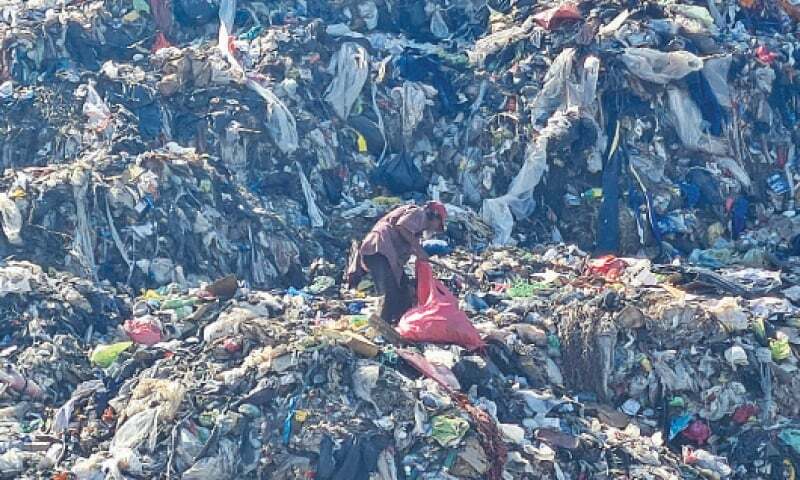 Data points - Newspaper - DAWN.COM