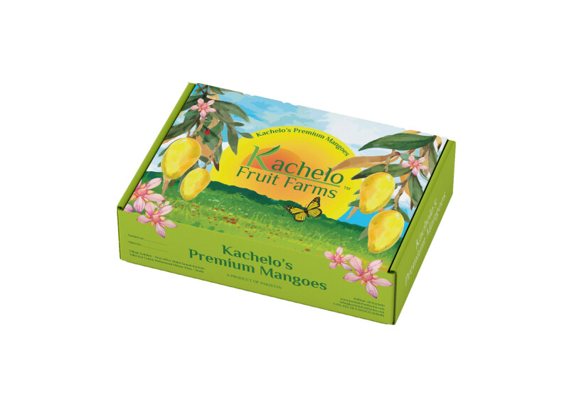 The Kachelo Mission - Aurora