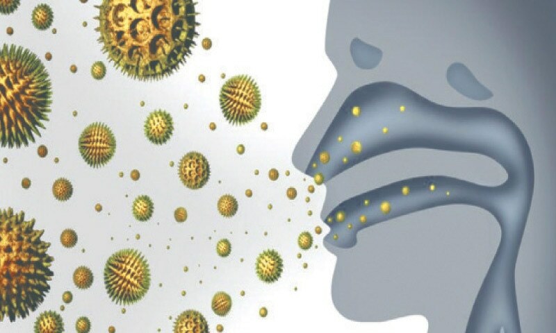 Facts - Newspaper - DAWN.COM