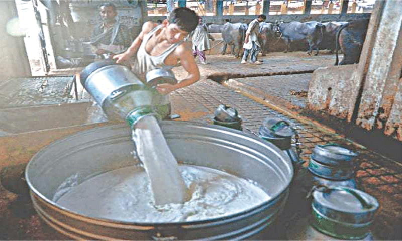 No respite from price hike as companies raise packaged milk rates ...