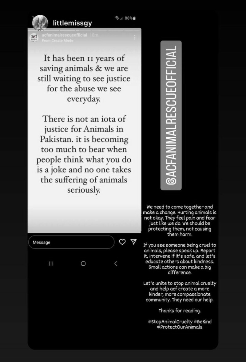 ‘Human beings are pure evil’: Dog thrown from balcony in Karachi’s ...