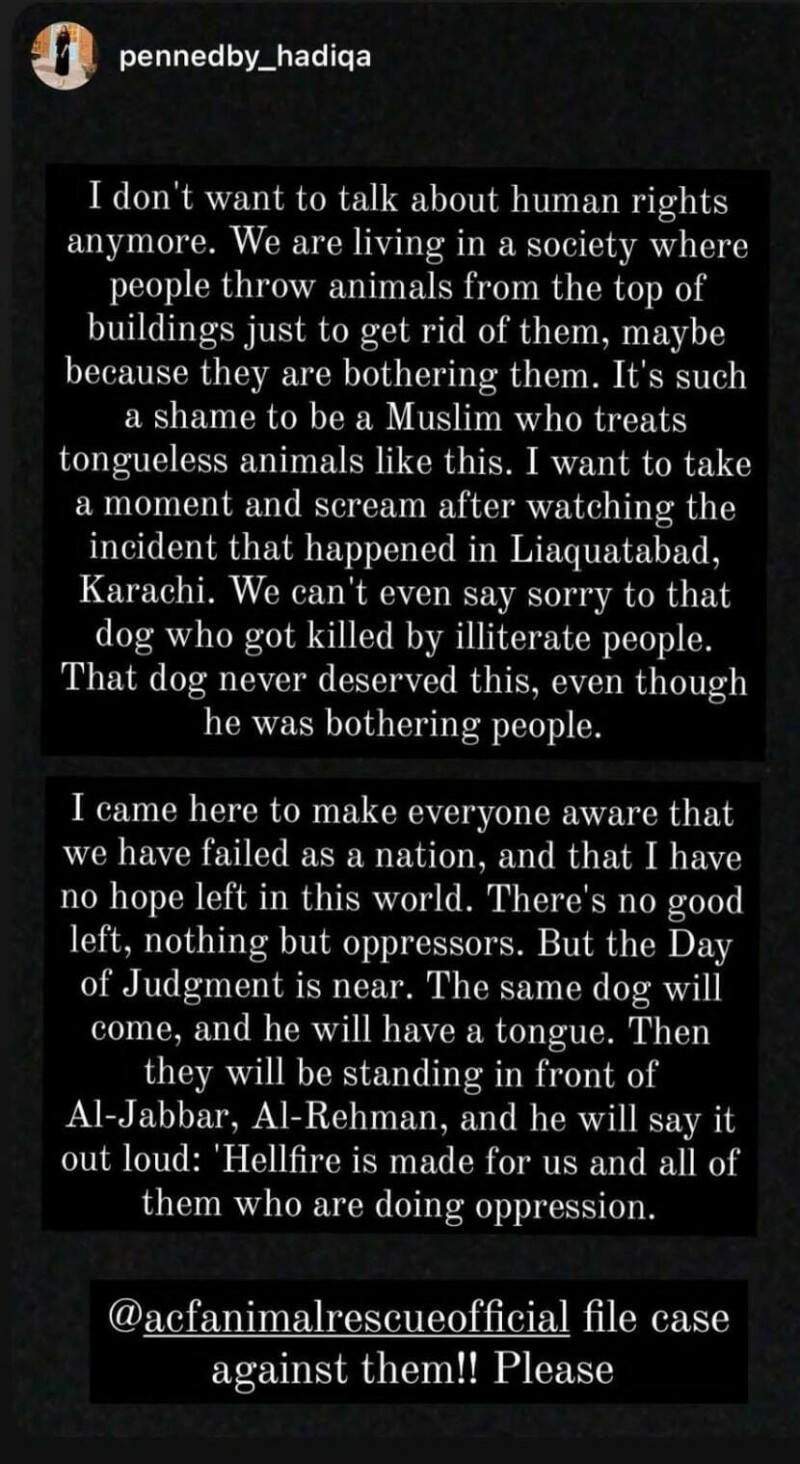 ‘Human beings are pure evil’: Dog thrown from balcony in Karachi’s ...