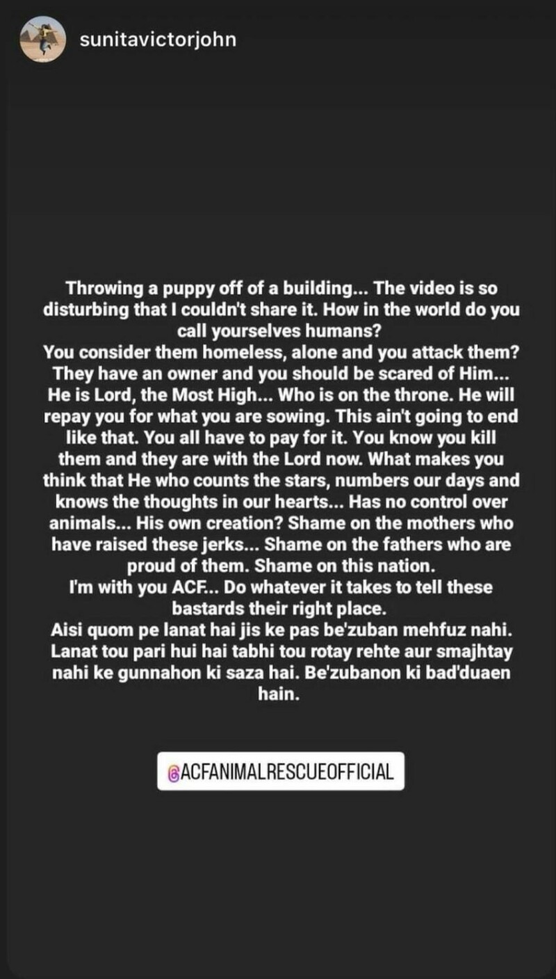 ‘Human beings are pure evil’: Dog thrown from balcony in Karachi’s ...