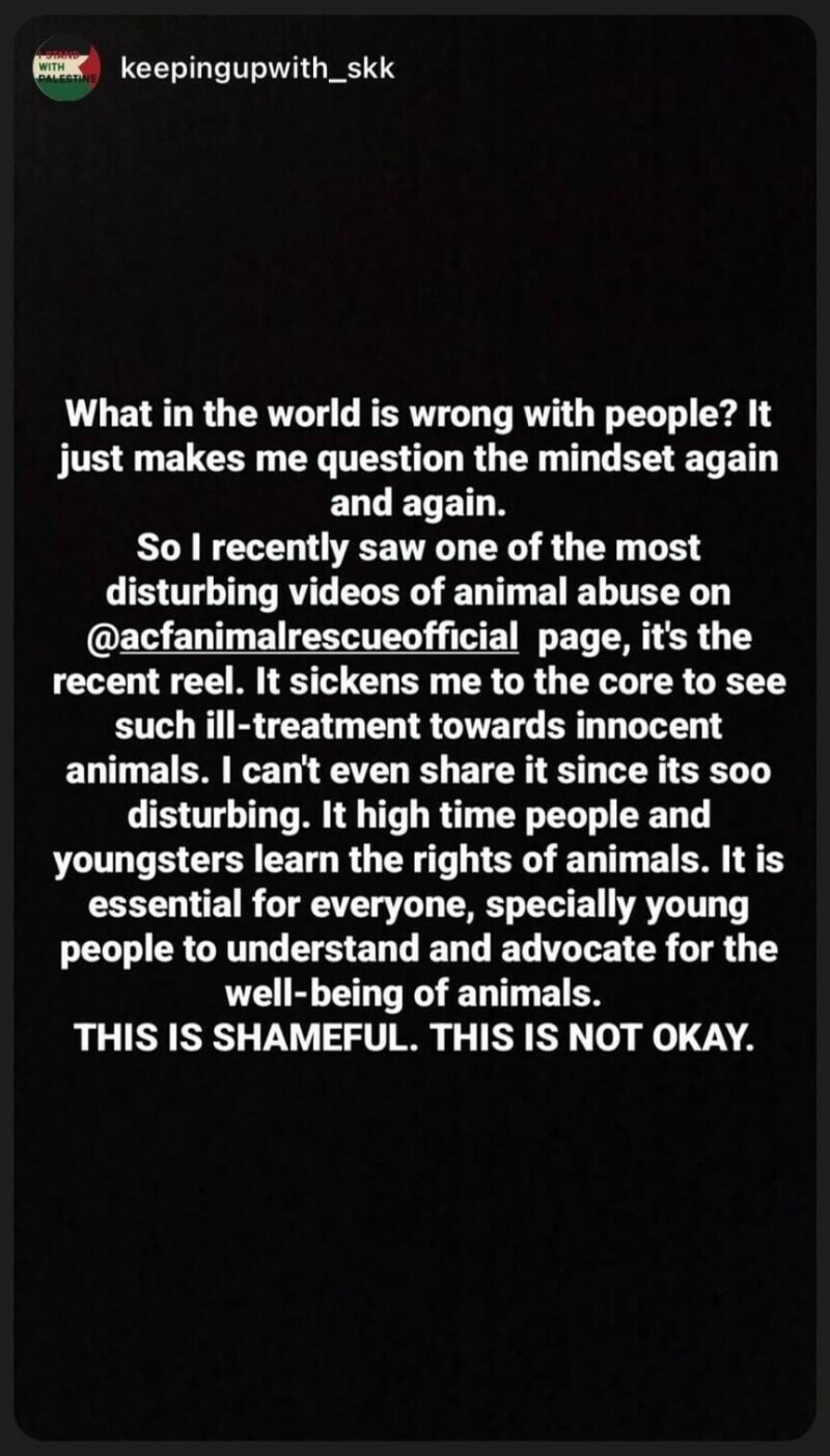 ‘Human beings are pure evil’: Dog thrown from balcony in Karachi’s ...