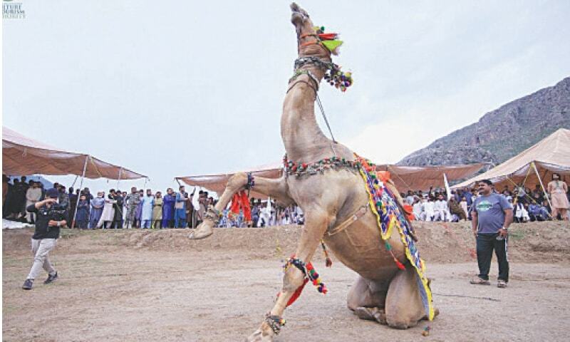 Three-day spring festival begins in Orakzai - Newspaper - DAWN.COM