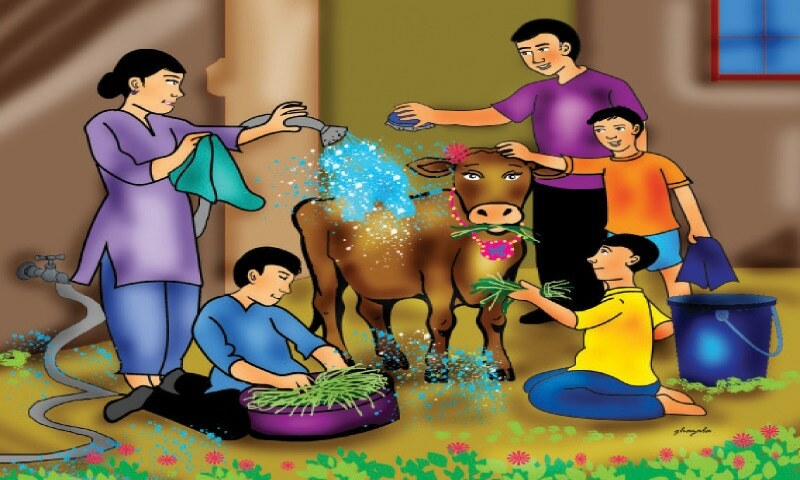 Story time: A cow named Mano - Newspaper - DAWN.COM