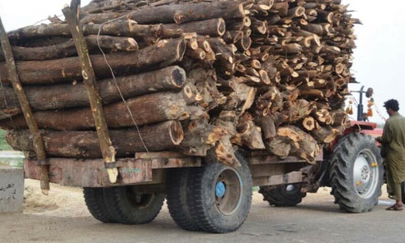 Three die as tractor-trolley veers off road in Dera - Pakistan - DAWN.COM