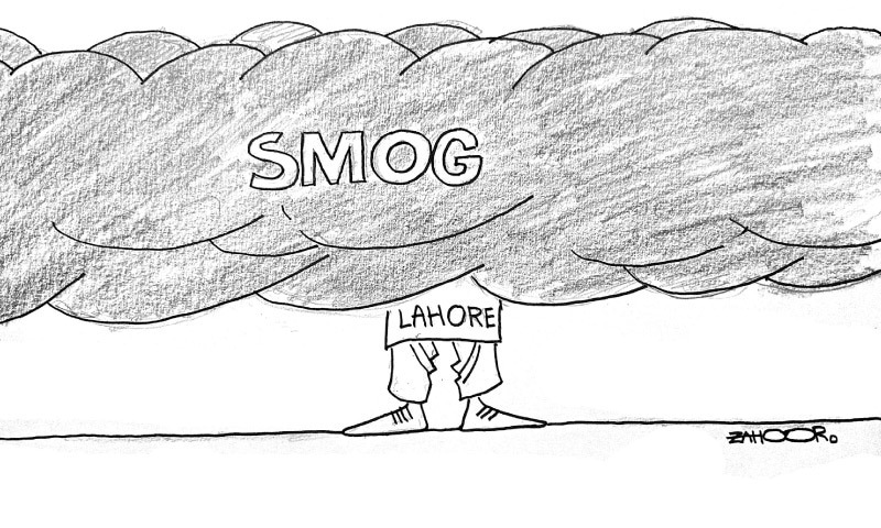 Cartoon: 30 October, 2024 - Newspaper - DAWN.COM