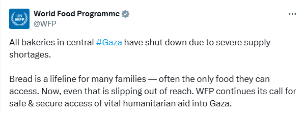 All bakeries shut in central Gaza due to supply shortages: WFP - DAWN.COM