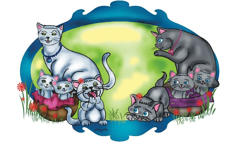 Story time: The kitten who learned her lesson - Newspaper - DAWN.COM