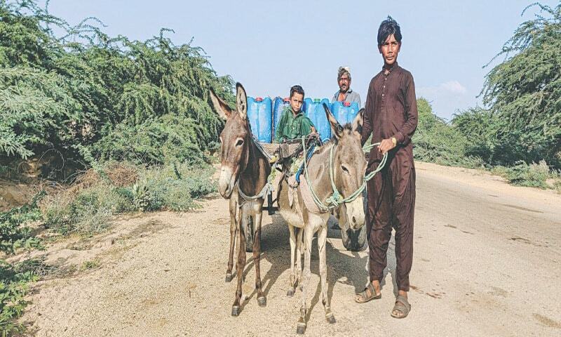 ENVIRONMENT: THE POISONED WELLS OF GORANO - Newspaper - DAWN.COM
