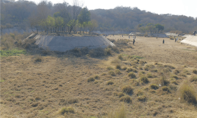 Tragic tale of paralysed lion cubs at Lohi Bher Wildlife Park ...