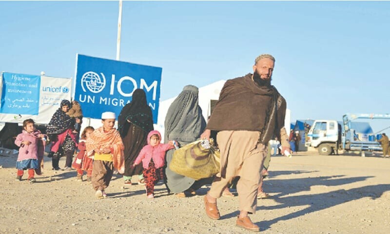Border closure slows return of Afghans, says International Organisation ...