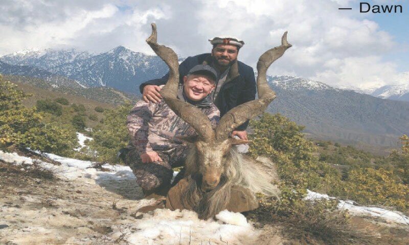 Foreigner hunts markhor in Chitral with record horn length - Pakistan ...