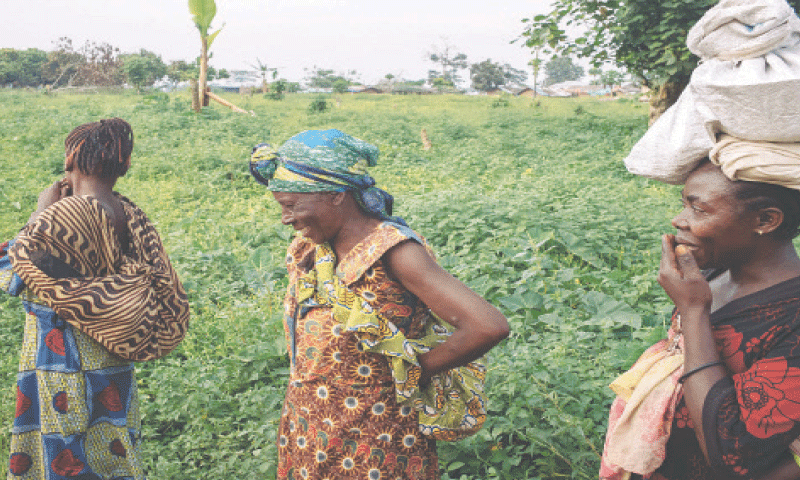 Data points - Newspaper - DAWN.COM