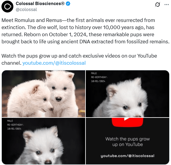 Biotech company brings back formerly extinct dire wolf - World - DAWN.COM