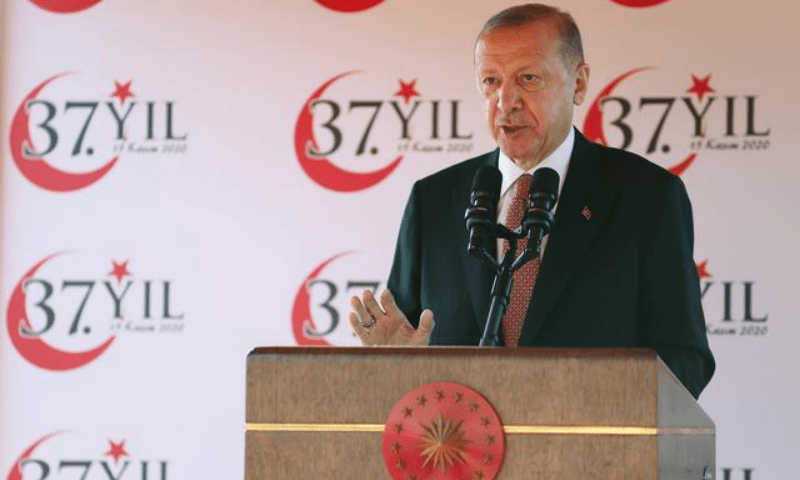 Erdogan insists on Cyprus two-state solution - World - DAWN.COM