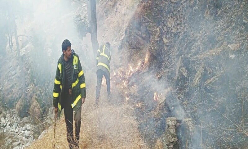 ENVIRONMENT: FIGHTING PAKISTAN’S FOREST FIRES - Newspaper - DAWN.COM