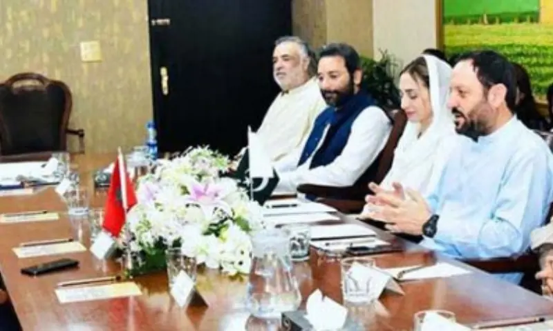 Pakistan, Morocco discuss visa facilitation, bilateral cooperation ...