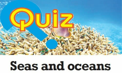 Quiz - Newspaper - DAWN.COM