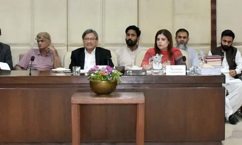 Senate panel approves reforms in family laws - Pakistan - DAWN.COM