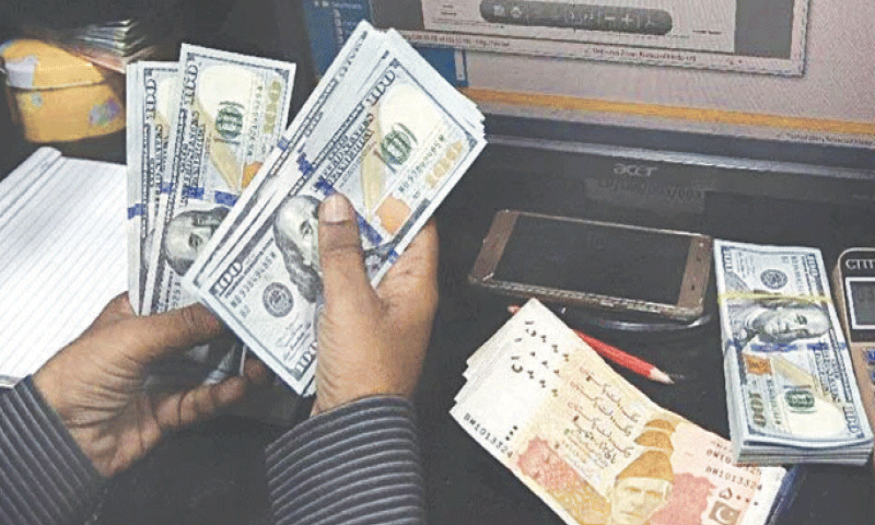 SBP slows dollar buying to ease market pressure - Business - DAWN.COM