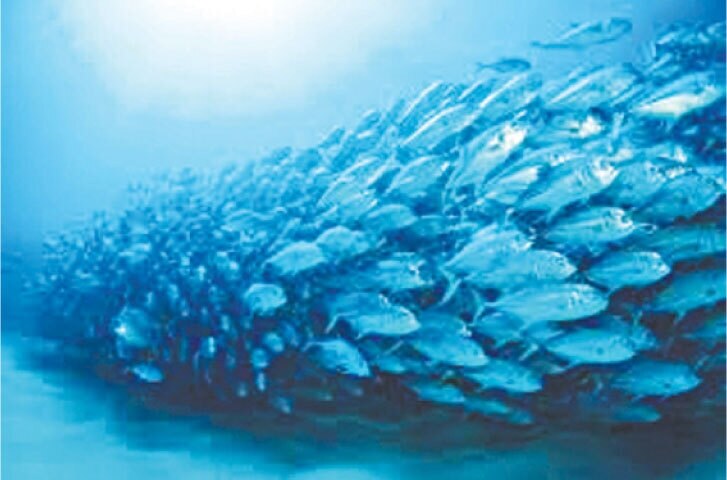 Facts - Newspaper - DAWN.COM