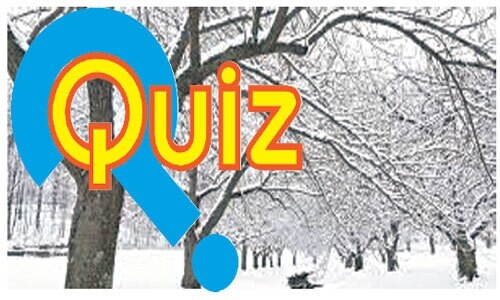 Quiz - Newspaper - DAWN.COM