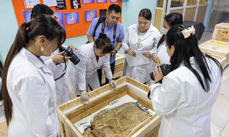Smuggled dinosaur fossils return to Mongolia after two decades ...