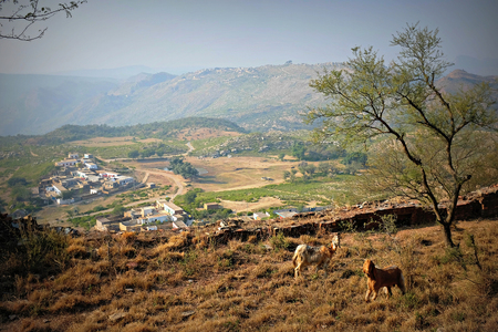 In the footsteps of Rajas: A journey through the soul of Potohar - DAWN.COM