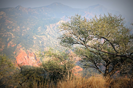 In the footsteps of Rajas: A journey through the soul of Potohar - DAWN.COM