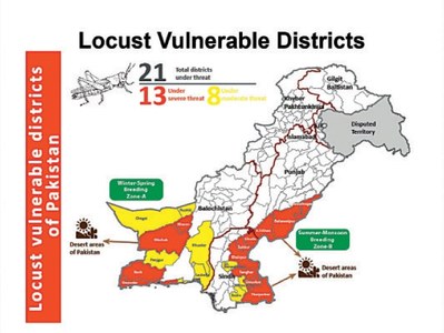 Major locust swarms may reach Pakistan later this month - Pakistan ...
