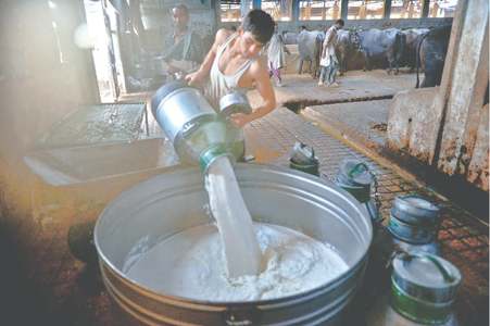 MILKING PAKISTAN FOR WHAT IT’S WORTH - Newspaper - DAWN.COM