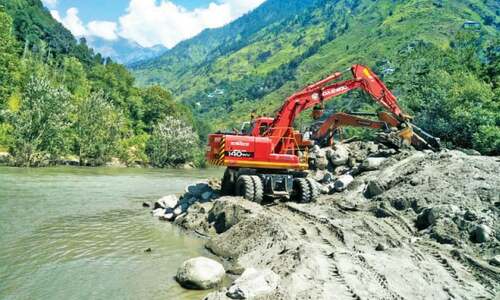 Collective efforts for peace stressed - Newspaper - DAWN.COM