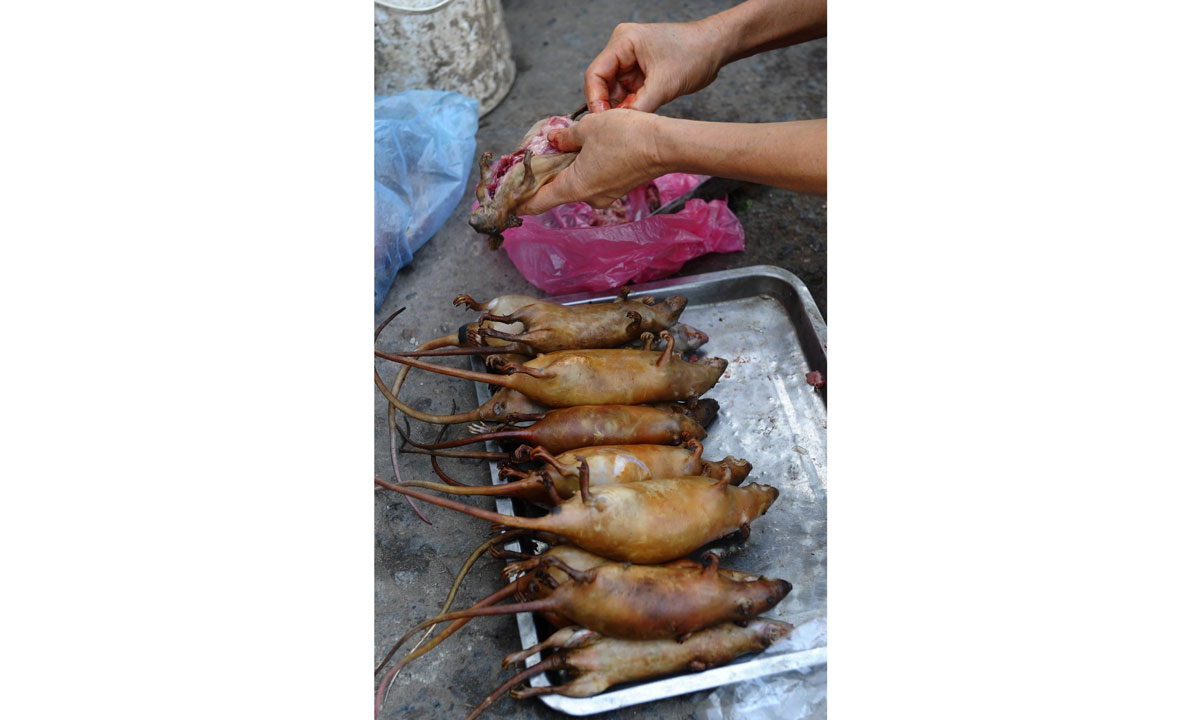 Ratatouille anyone? - World - DAWN.COM