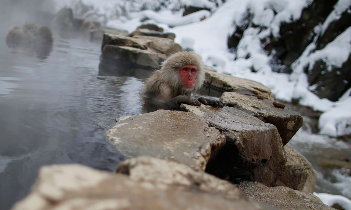 A day at the hotsprings - Multimedia - DAWN.COM